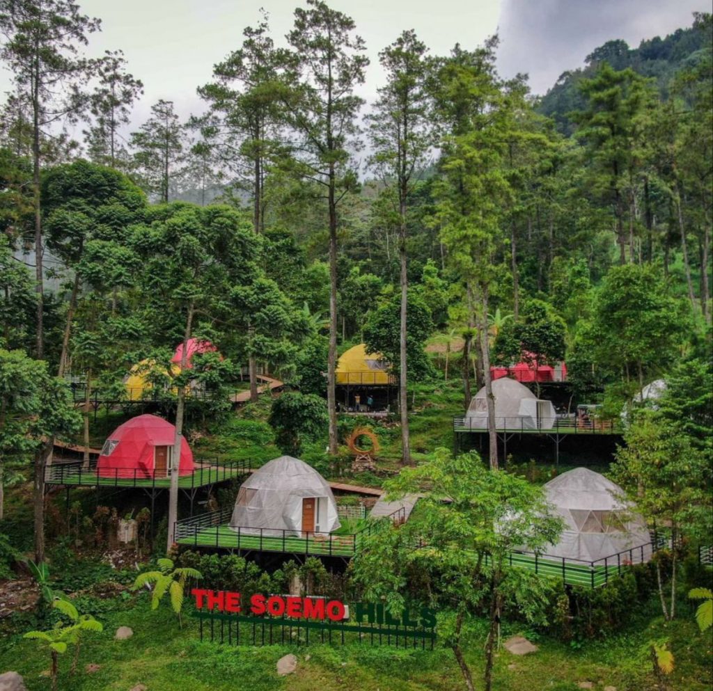 Camping Mewah di The Sumo Hills, Menikmati Panorama dan Hawa Sejuk ...